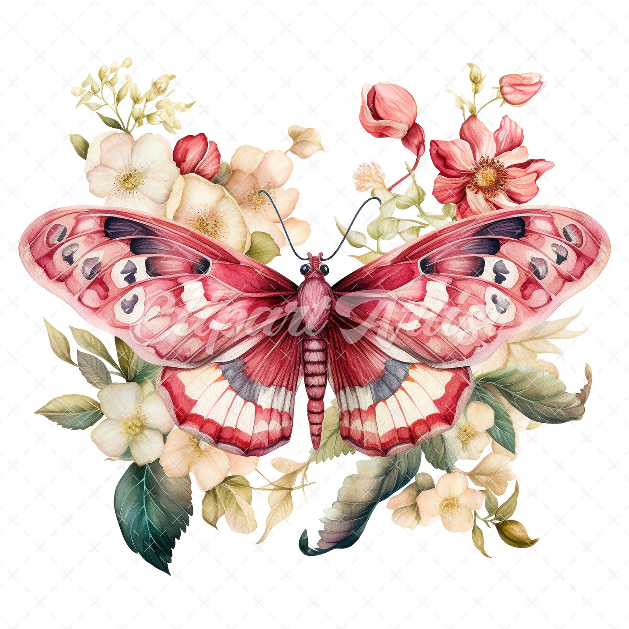 20 High-quality Floral Moth Clipart Floral Moth Digital - Etsy