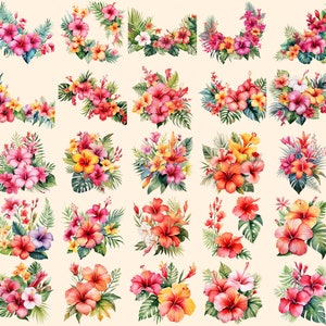 Tropical Flowers Watercolor Clipart Bundle - 245+ Transparent PNG ...