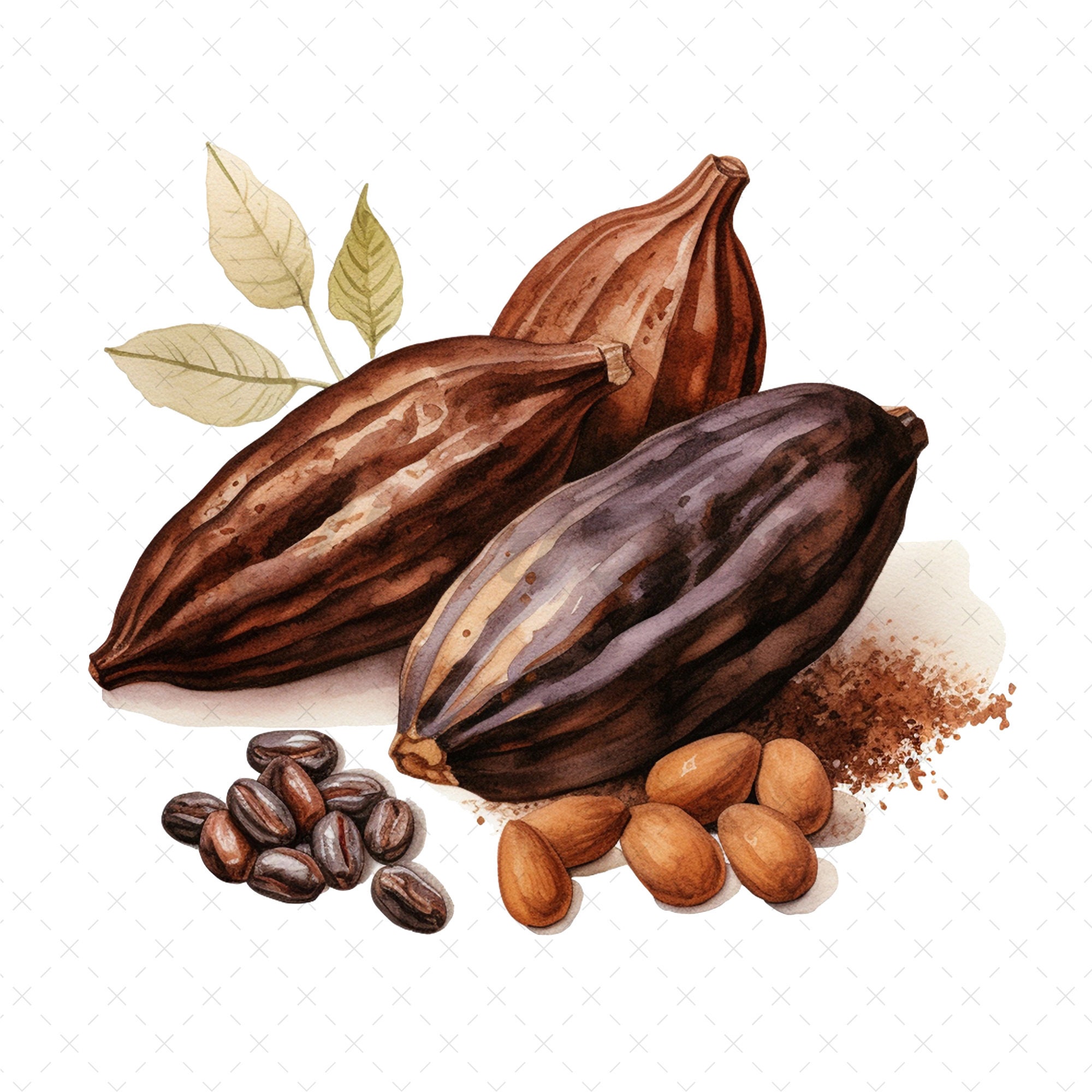 20 High-quality Sacred Cacao Clipart Sacred Cacao Digital - Etsy