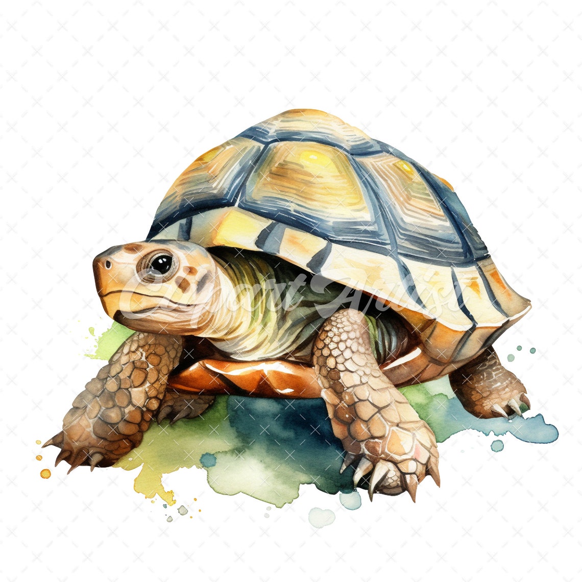 20 High-quality Cute Tortoise Clipart Cute Tortoise Digital Watercolor ...