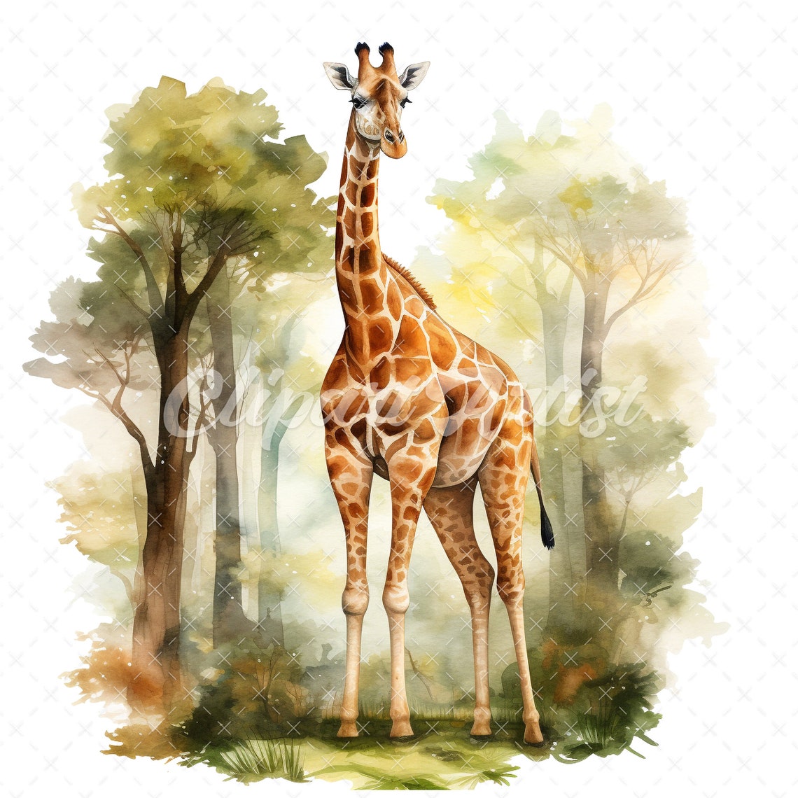 20 High-quality Forest Giraffe Clipart Forest Giraffe - Etsy