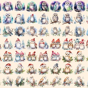 Winter Owls Watercolor Clipart Bundle - 532+ Transparent PNG, Festive ...