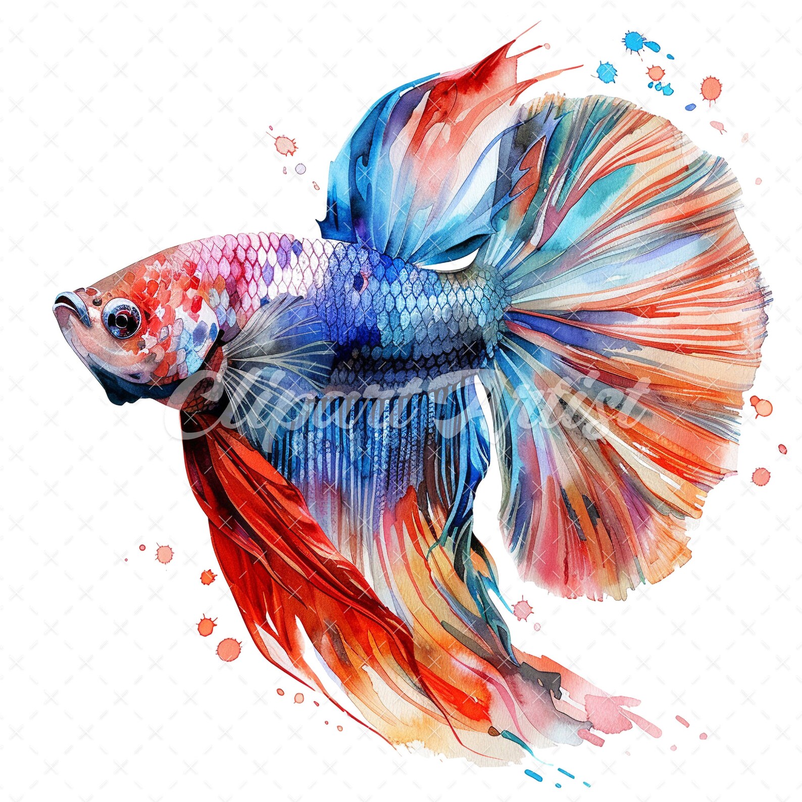 Watercolor Betta Fish Clipart – High-quality JPG, Commercial Use ...