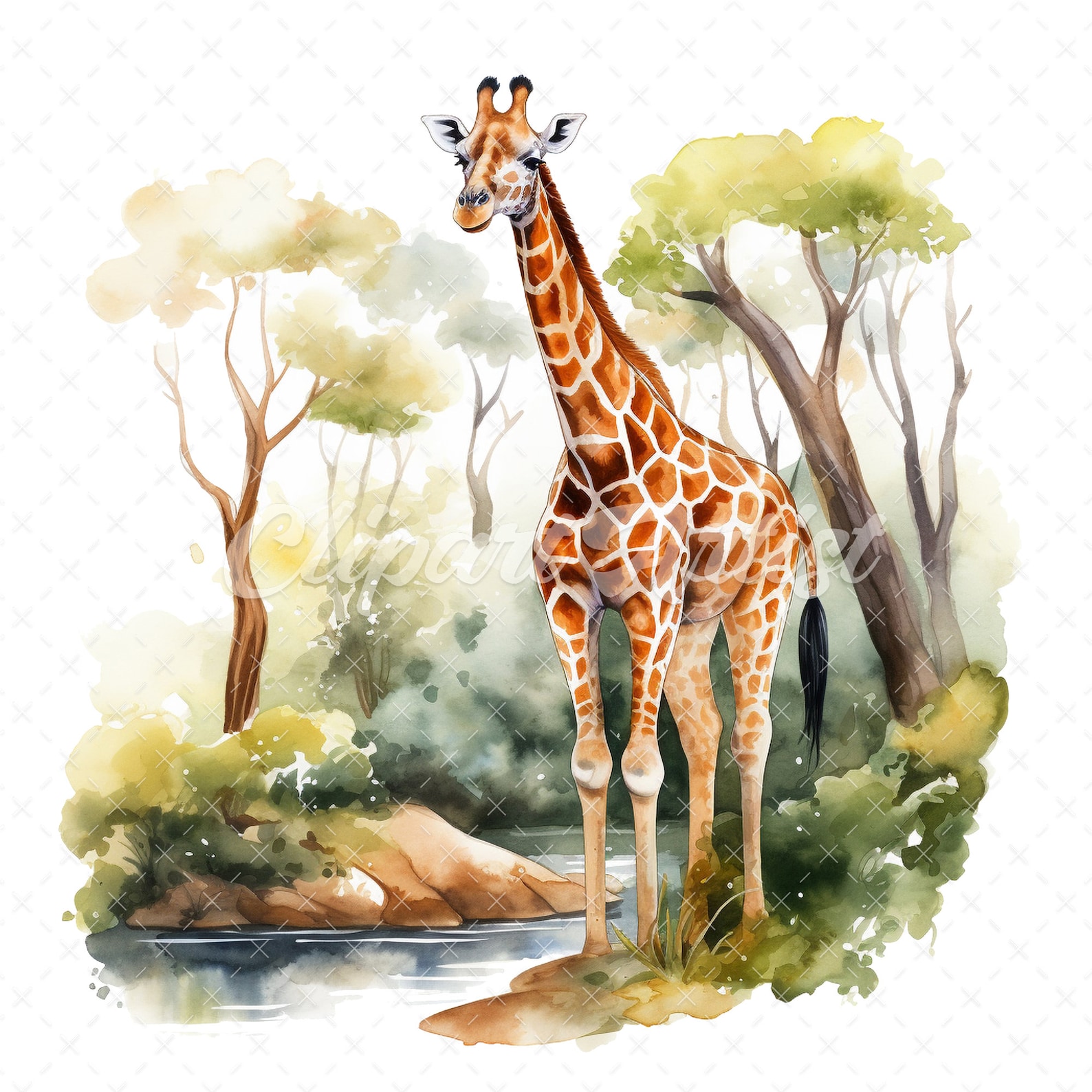 20 High-quality Forest Giraffe Clipart Forest Giraffe - Etsy