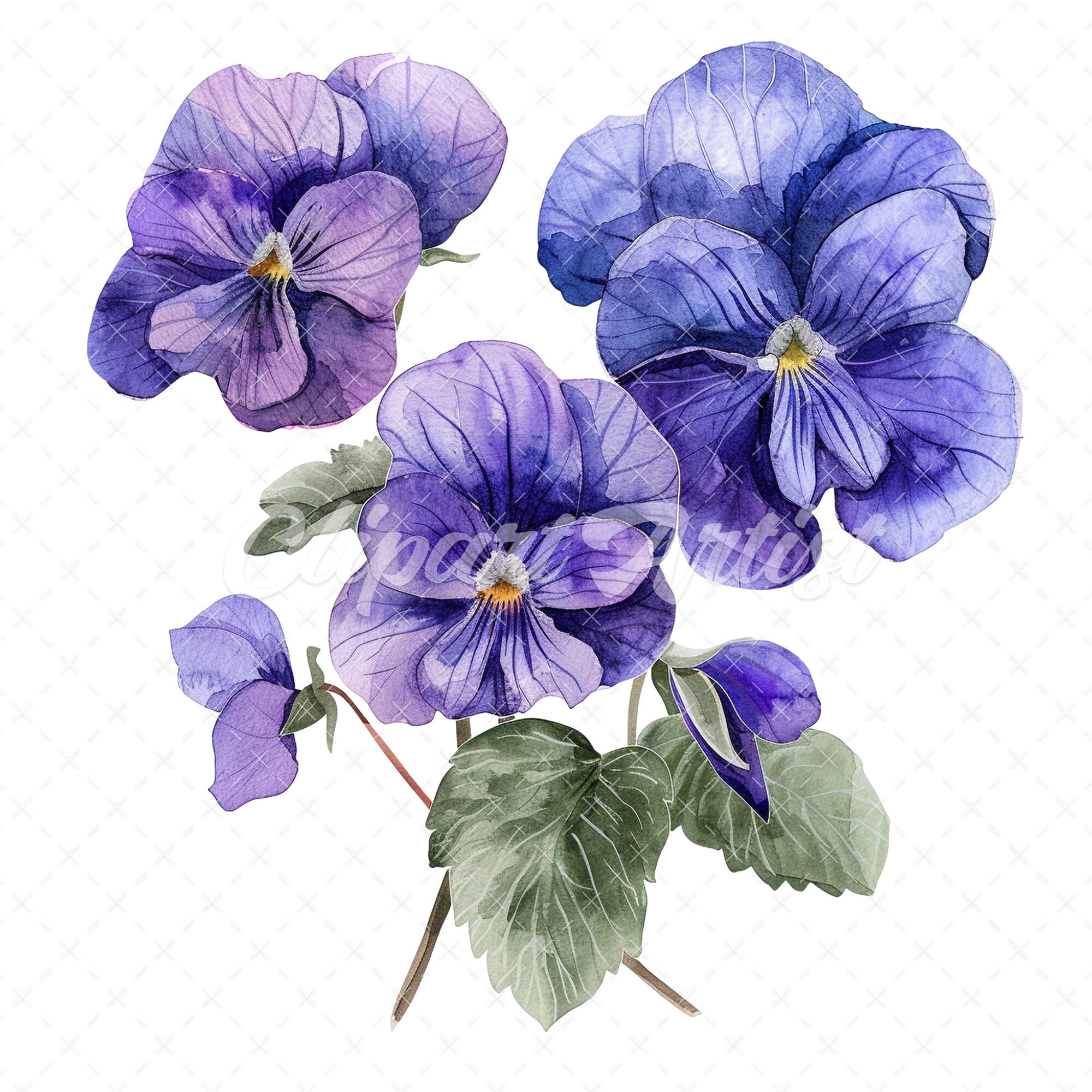 20 High-quality Violets Clipart Violets Clipart Digital Watercolor JPG ...