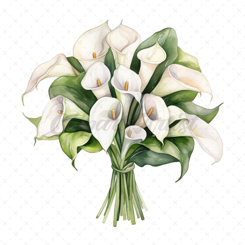 Calla Lilies Bouquet Clipart – Watercolor Floral Art (digital Download ...