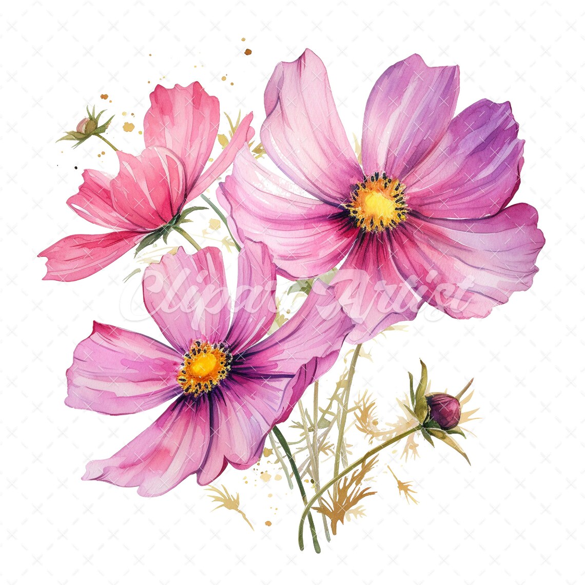 20 High-quality Cosmos Clipart Cosmos Flower Digital - Etsy