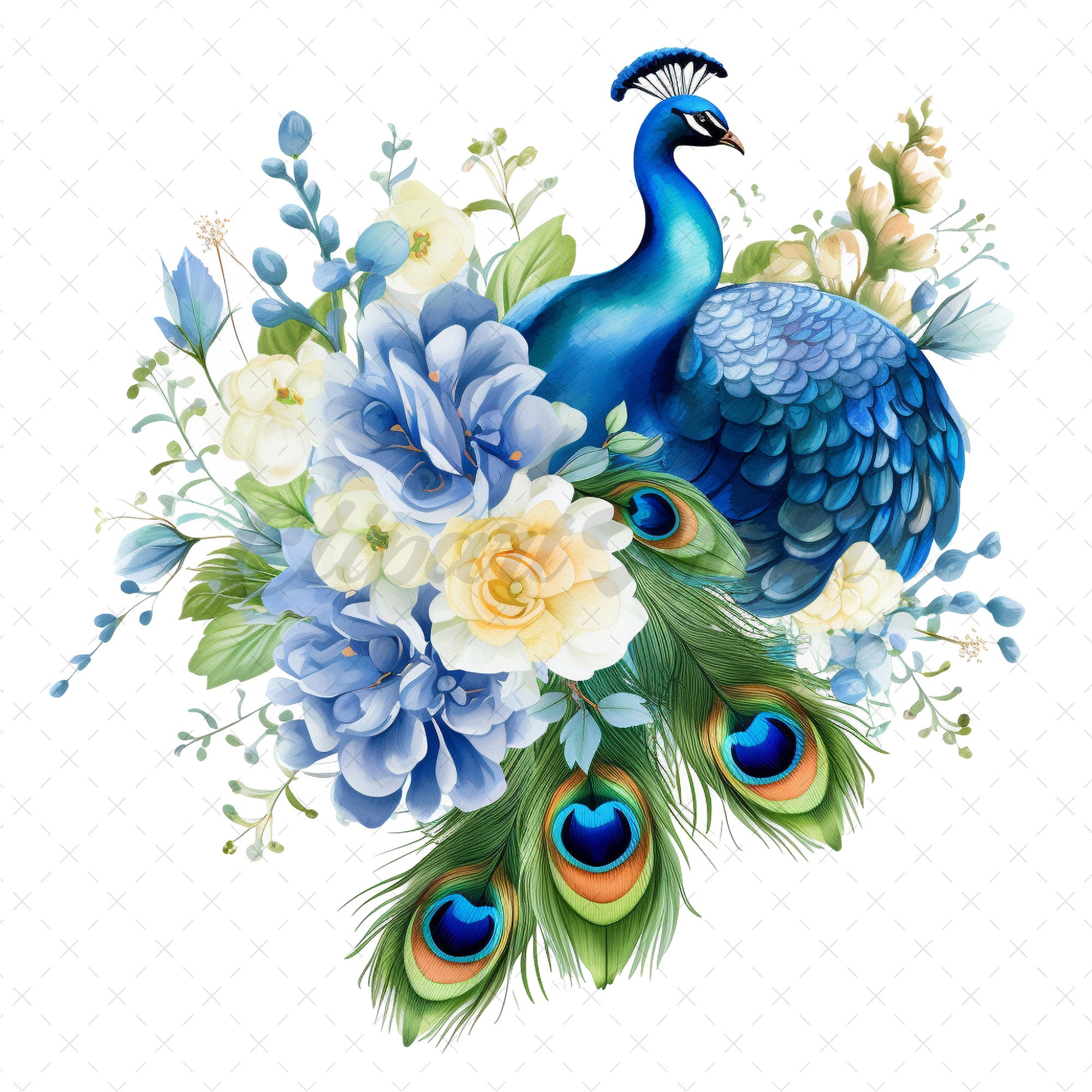 19 High-quality Peacock Bouquets Clipart Peacock Bouquets Digital ...
