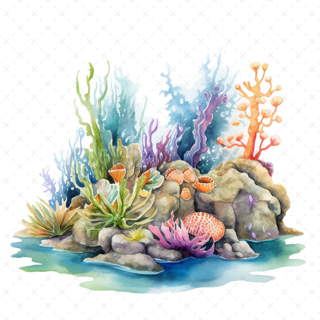 Watercolor Tidepool Clipart – Ocean Life Illustrations (digital ...