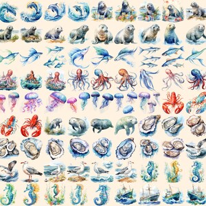Ocean Stuff Watercolor Clipart Bundle - 800+ Transparent PNG, Ocean ...