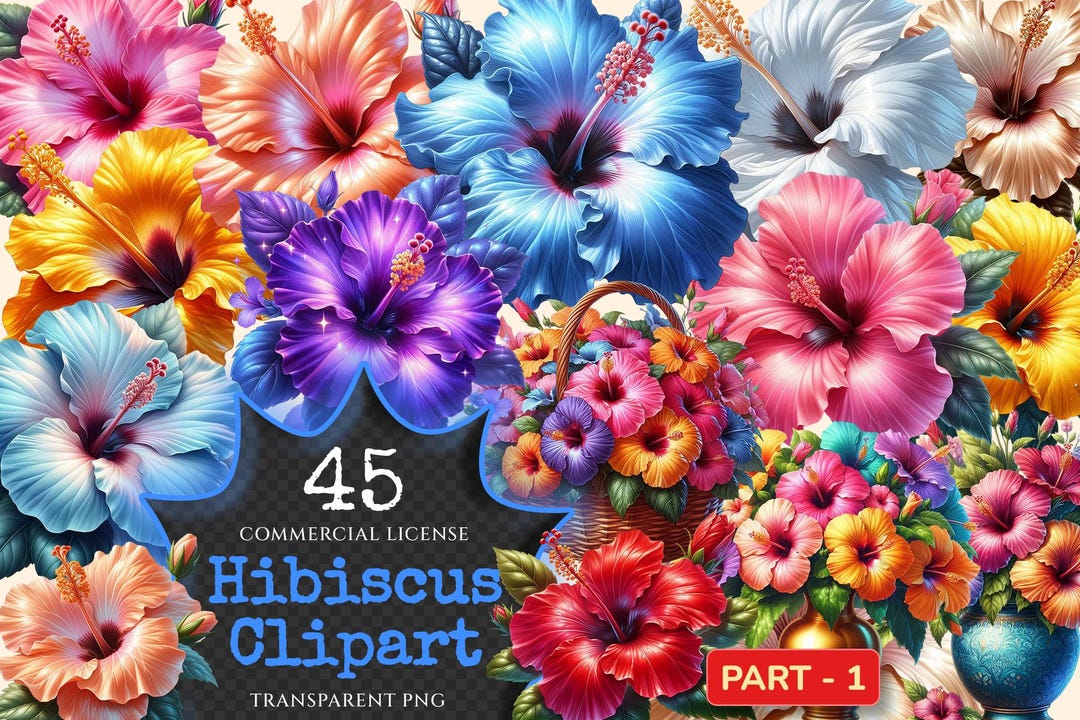 Hibiscus Clipart – 45 Tropical Floral PNG Illustrations (digital ...