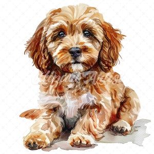 20 High-quality Cockapoo Portrait Clipart - Cockapoo Portrait Digital ...