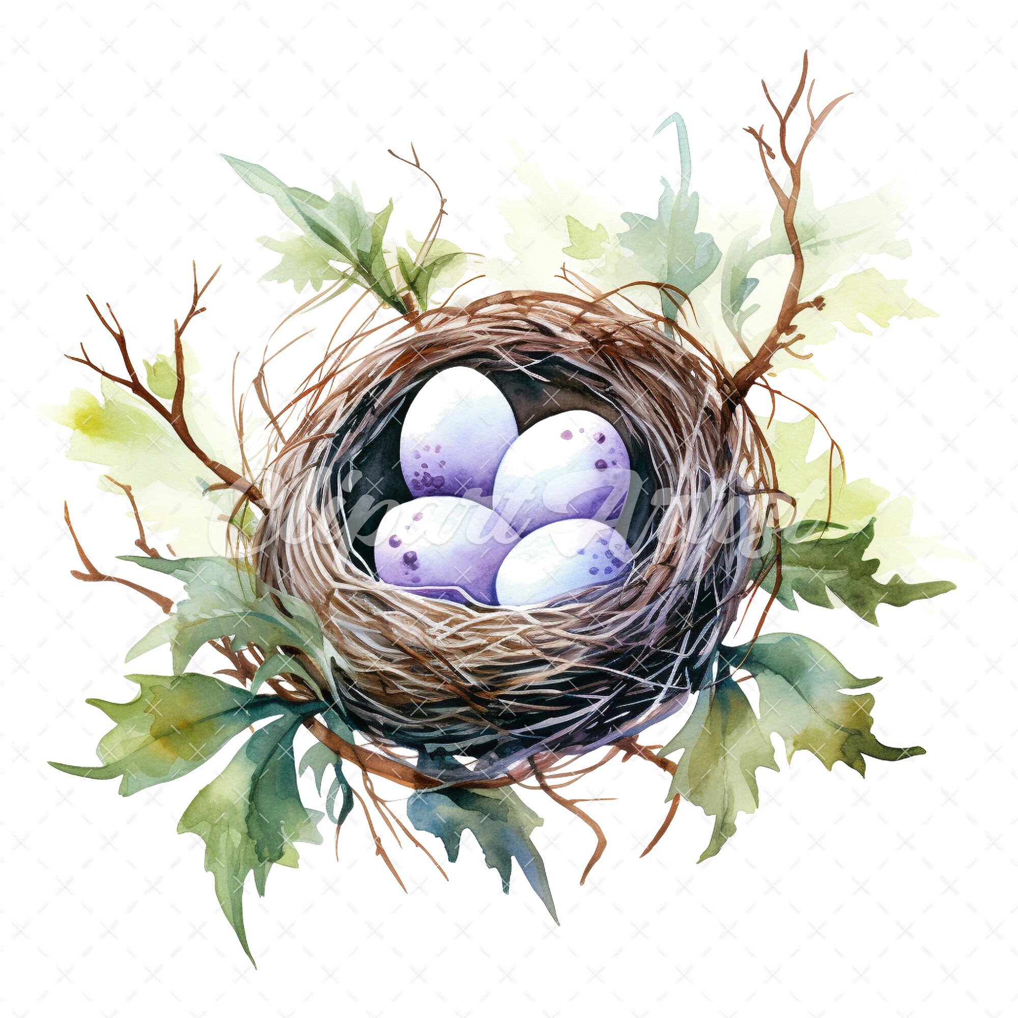 20 High-quality Bird Nest Clipart Bird Nest Digital Watercolor JPG ...