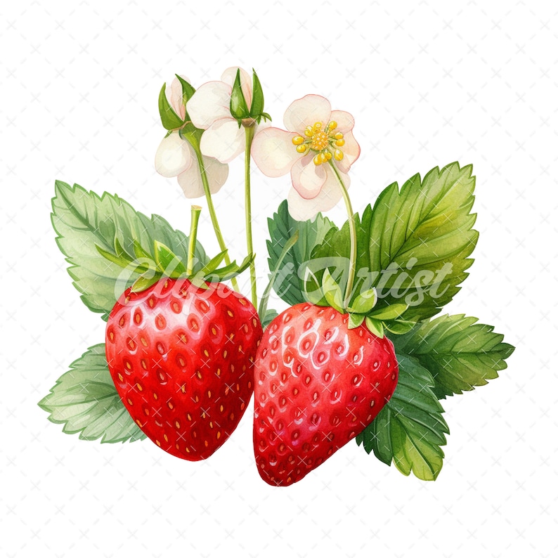 Strawberry Watercolor Clipart – Commercial Use (digital Download) - Etsy
