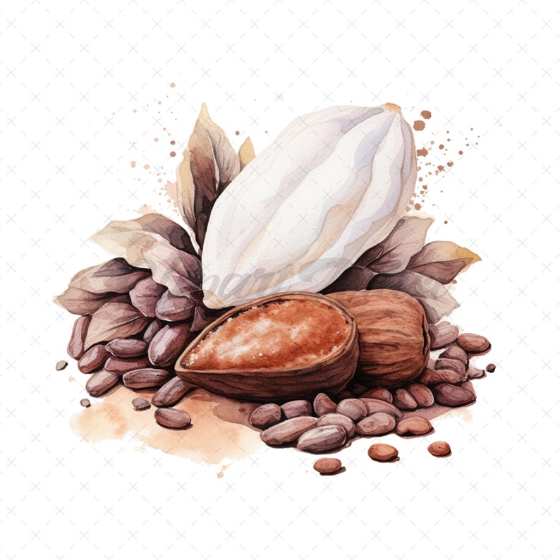 20 High-quality Sacred Cacao Clipart Sacred Cacao Digital - Etsy