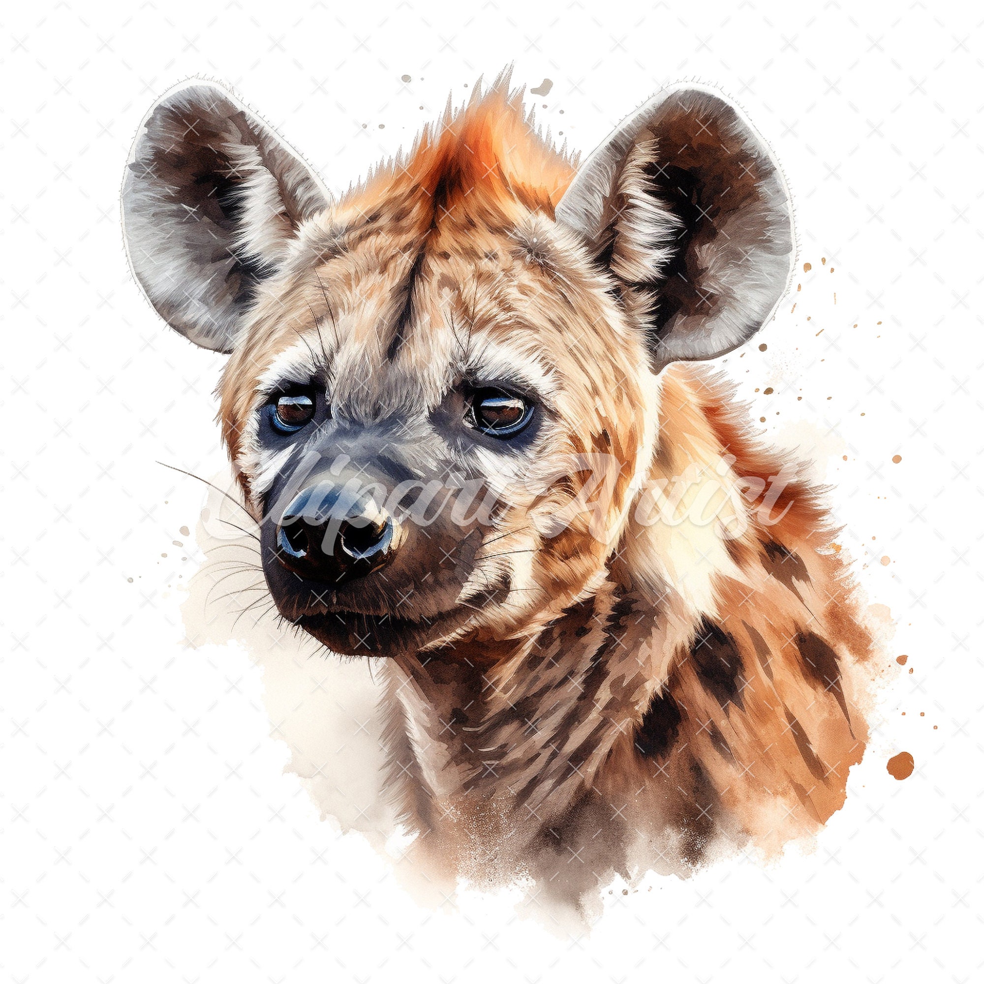 20 High-quality Hyena Clipart - Hyena Digital Watercolor JPG Instant ...