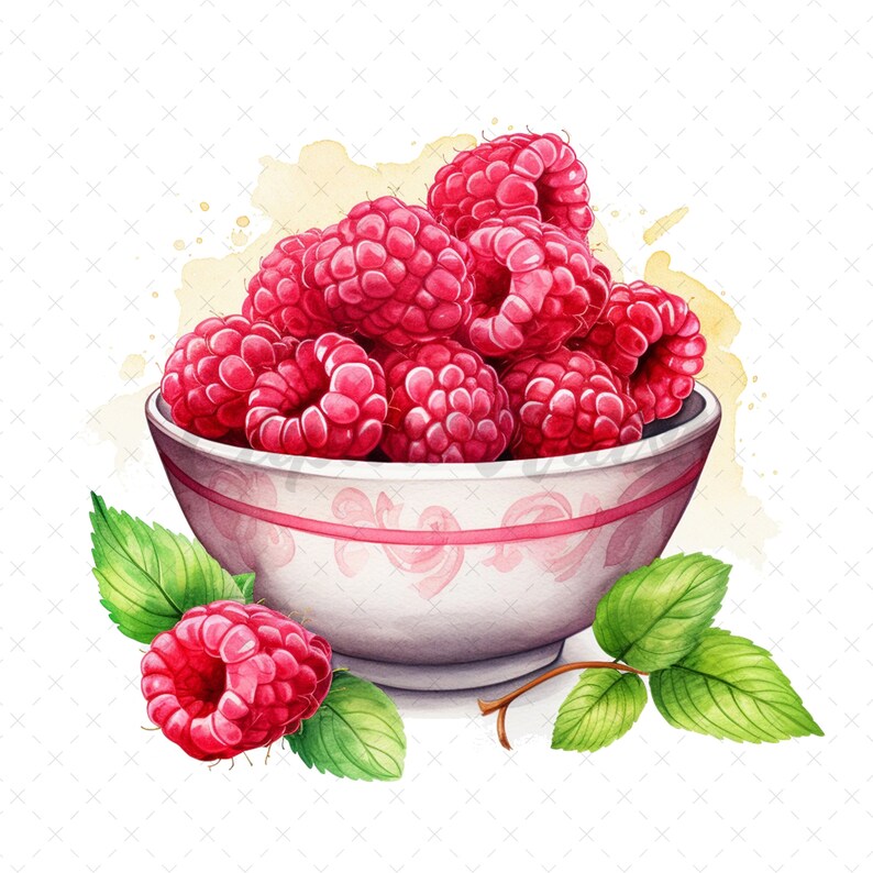 20 High-quality Raspberries Clipart Raspberries Digital Watercolor JPG ...