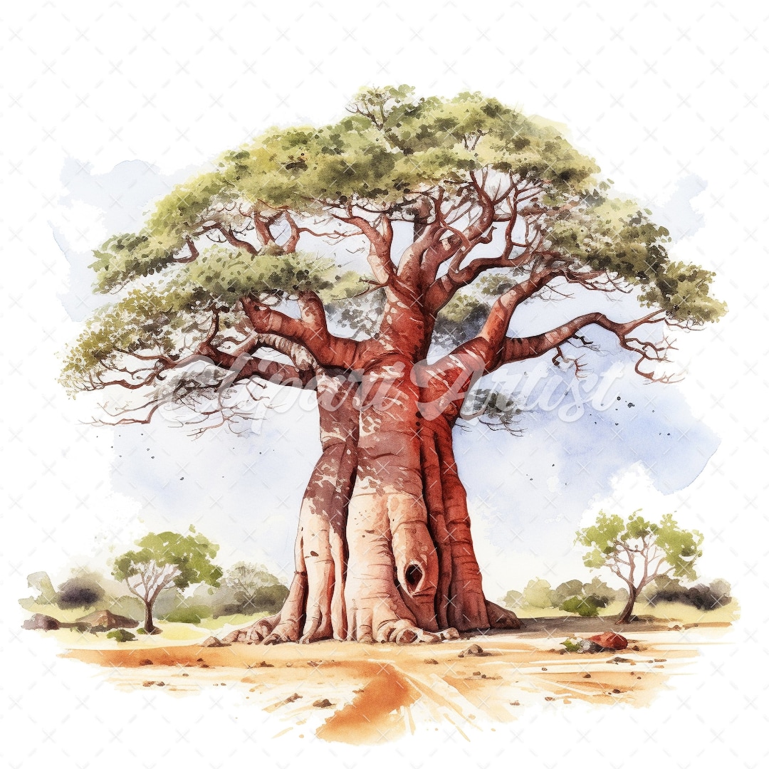 20 High-quality Baobab Tree Clipart - Baobab Tree Digital Watercolor JPG Instant Download for ...