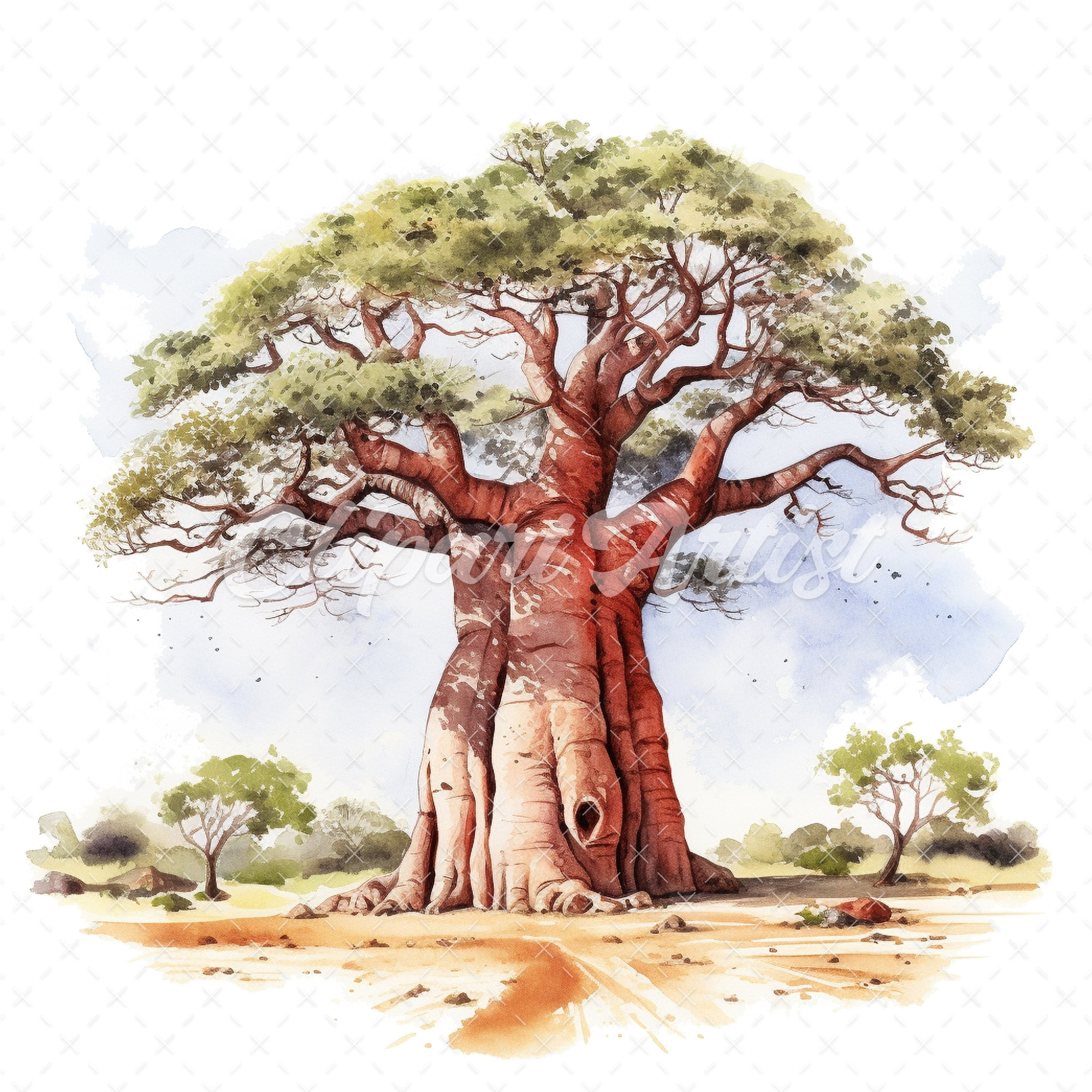 20 High-quality Baobab Tree Clipart Baobab Tree Digital Watercolor JPG ...