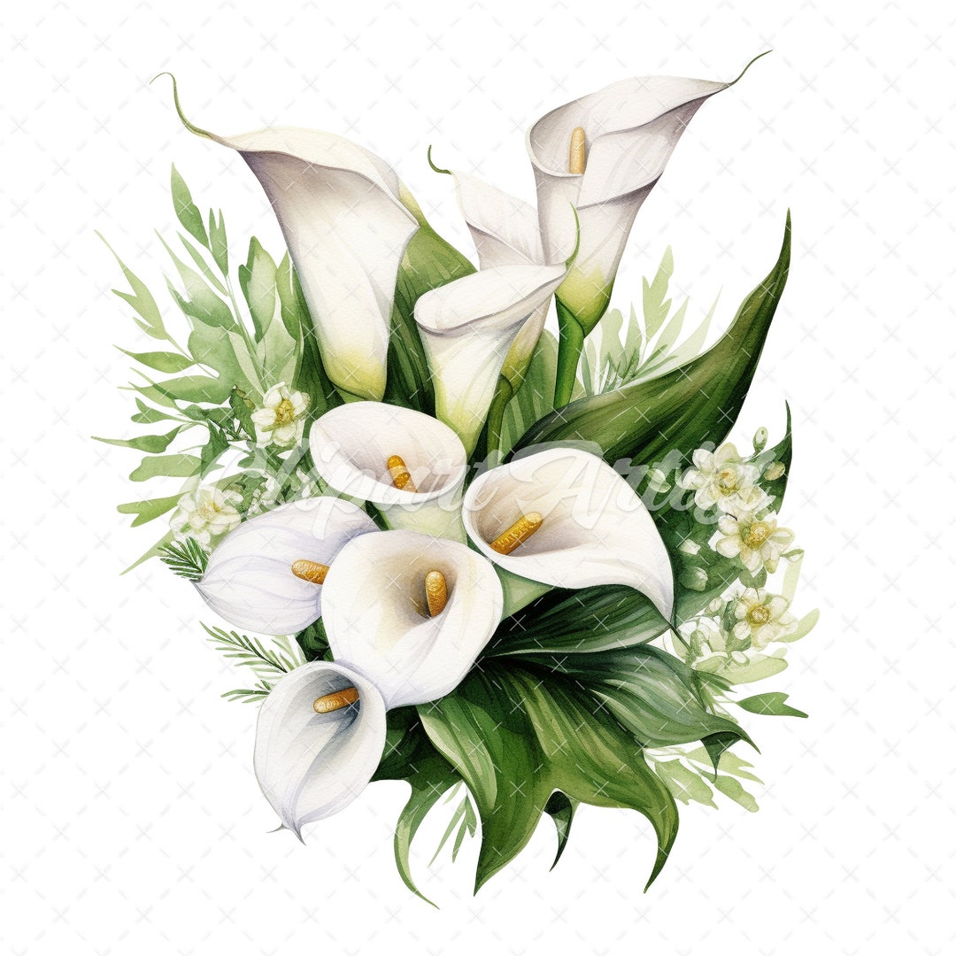 19 High-quality Calla Lily Bouquet Clipart - Calla Lily Digital ...