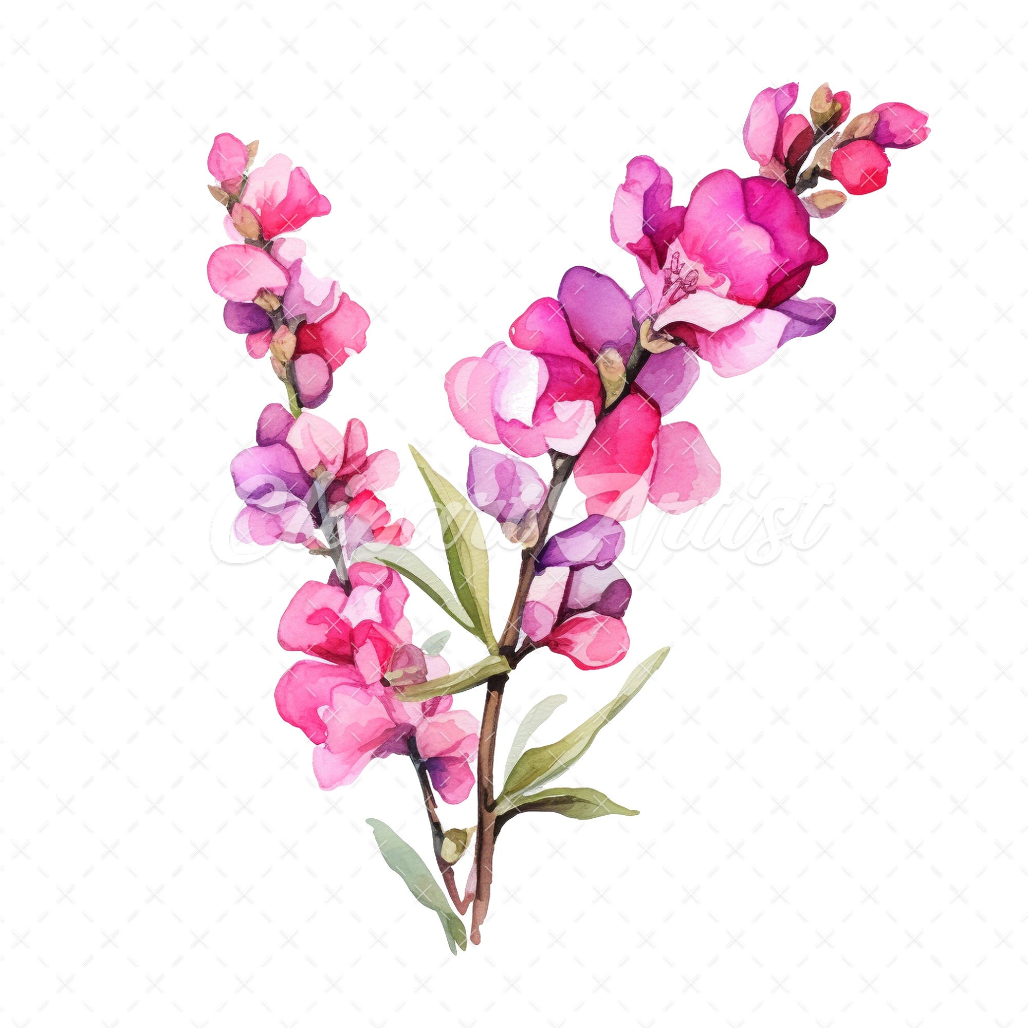 20 High-quality Snapdragon Clipart Snapdragon Flowers Digital ...