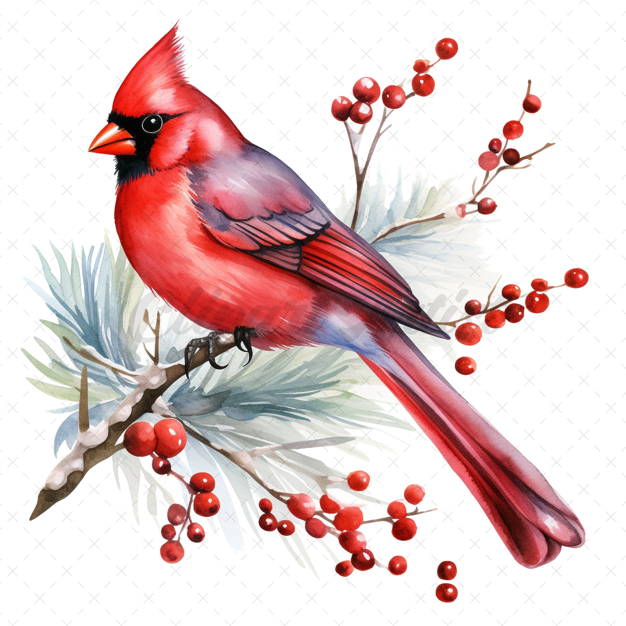 20 High-quality Winter Cardinals Clipart Winter Cardinals Digital ...