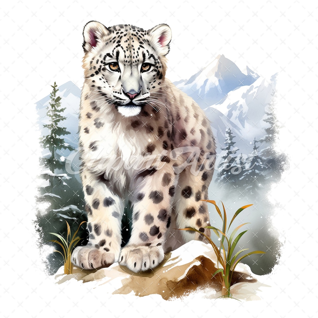 20 High-quality Cute Snow Leopard Clipart - Cute Snow Leopard Digital ...