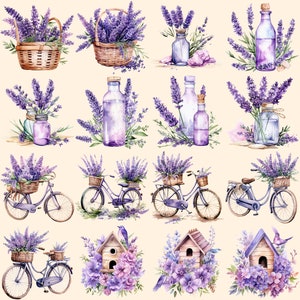 Watercolor Lavender Clipart Bundle – 160+ PNG Graphics (digital ...