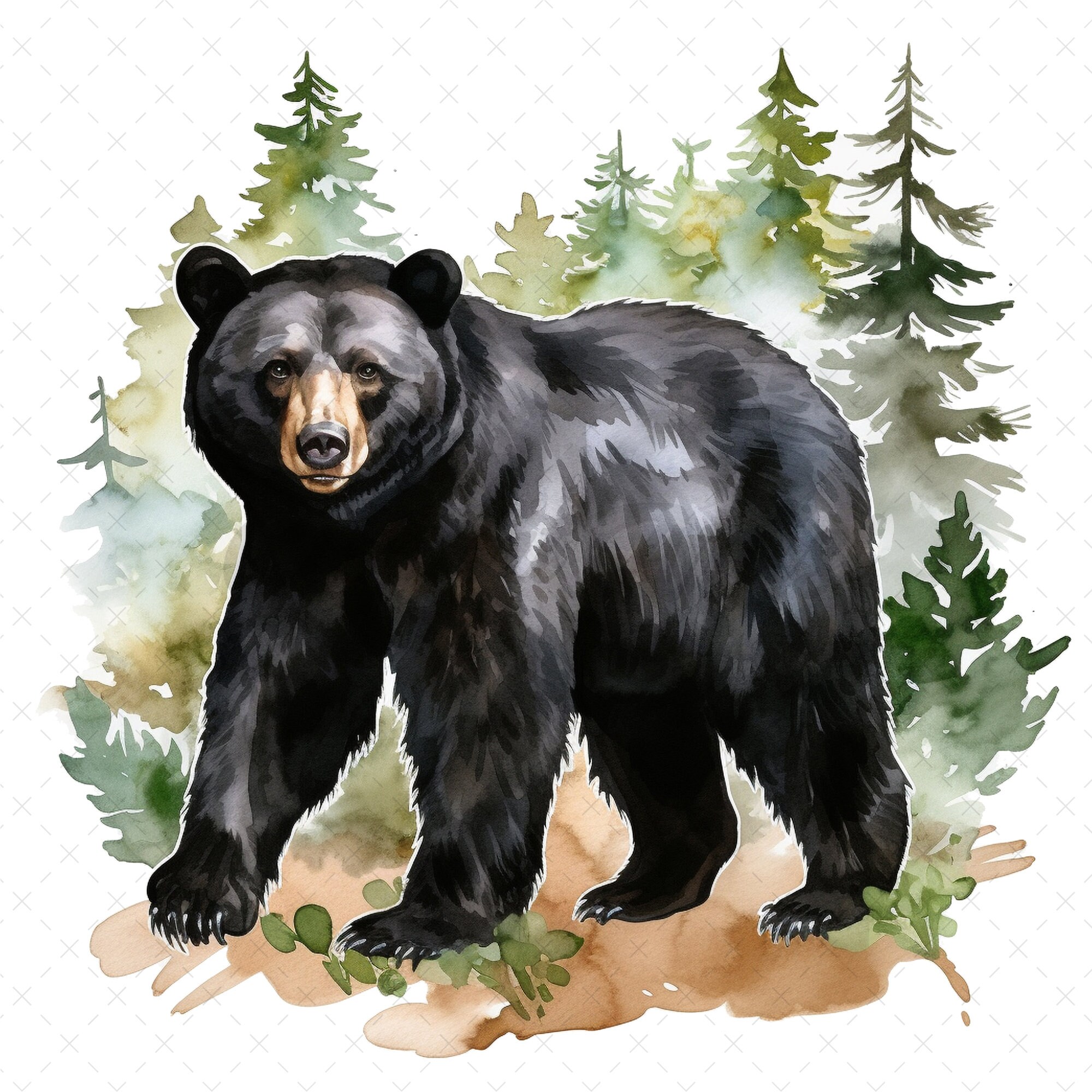 19 High-quality Black Bear Clipart Black Bear Digital - Etsy