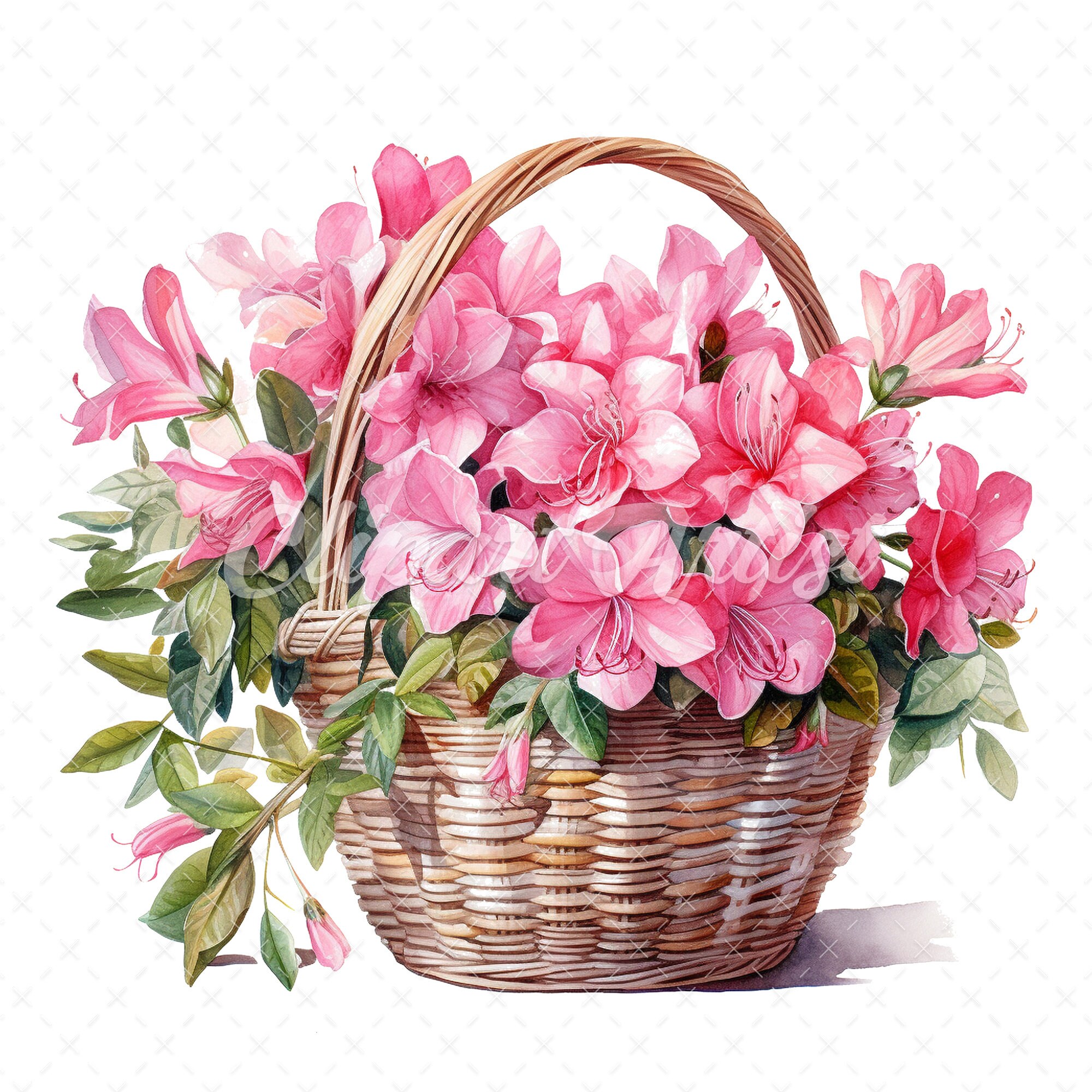 20 High-quality Azaleas Basket Clipart Azaleas Basket - Etsy