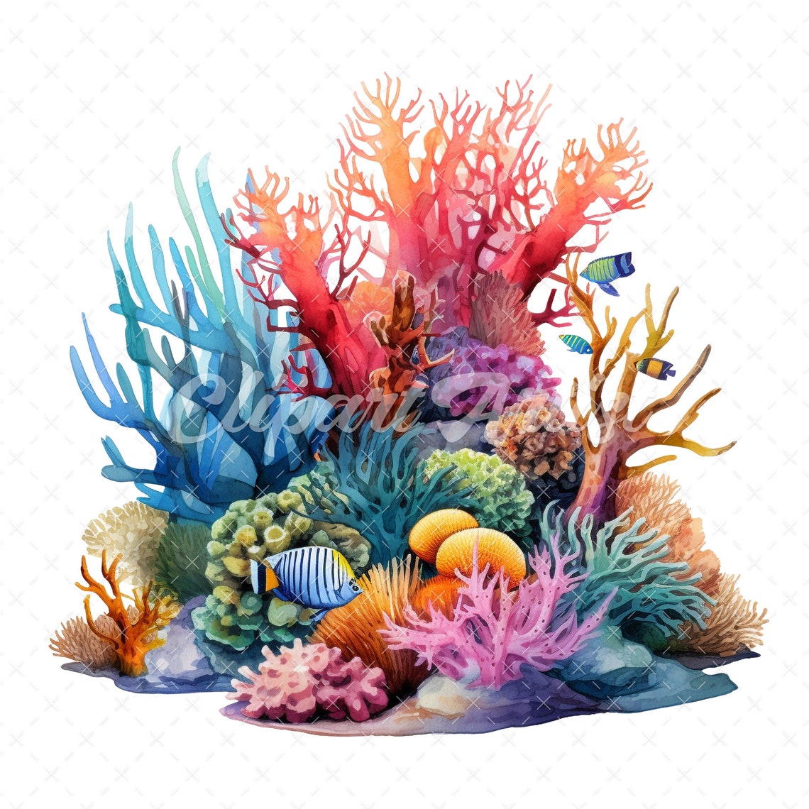 19 High-quality Reef Clipart Reef Digital Watercolor JPG - Etsy