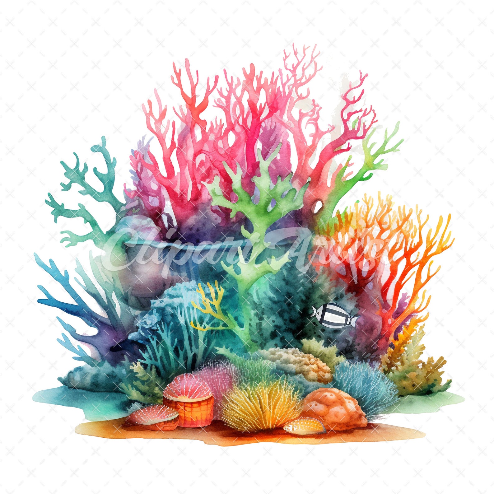 19 High-quality Reef Clipart Reef Digital Watercolor JPG - Etsy
