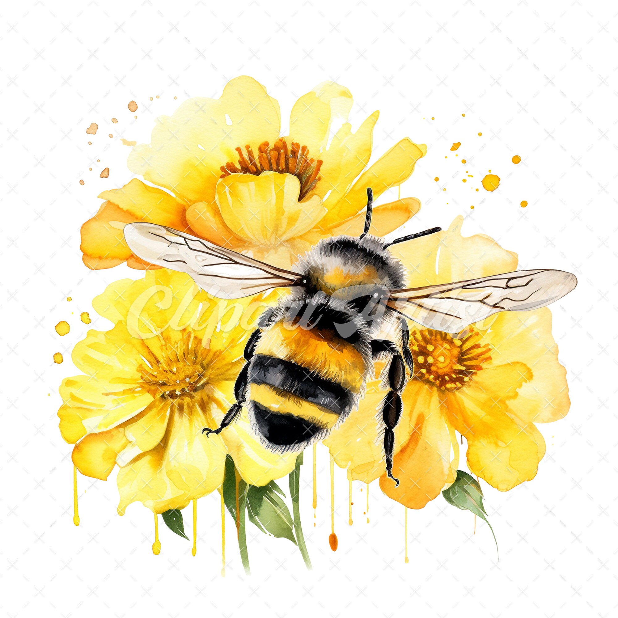 Watercolor Bumble Bee Clipart – Floral JPG Images (digital Download) - Etsy