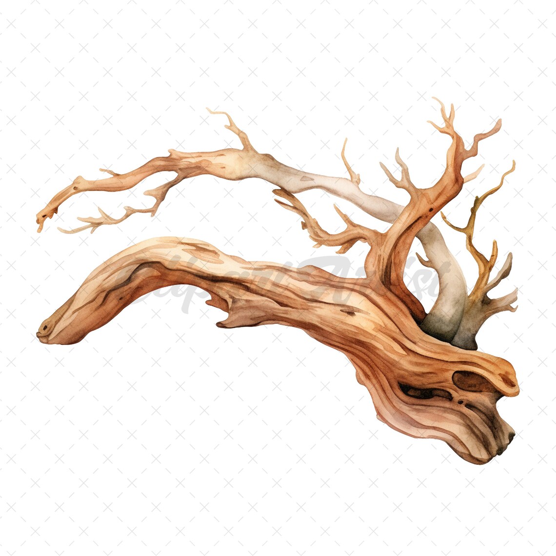 Driftwood Clipart: Watercolor Style, Commercial Use (digital Download ...