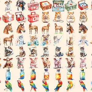 Veterinary Watercolor Clipart Bundle – 600+ PNG, Pet Health (digital ...