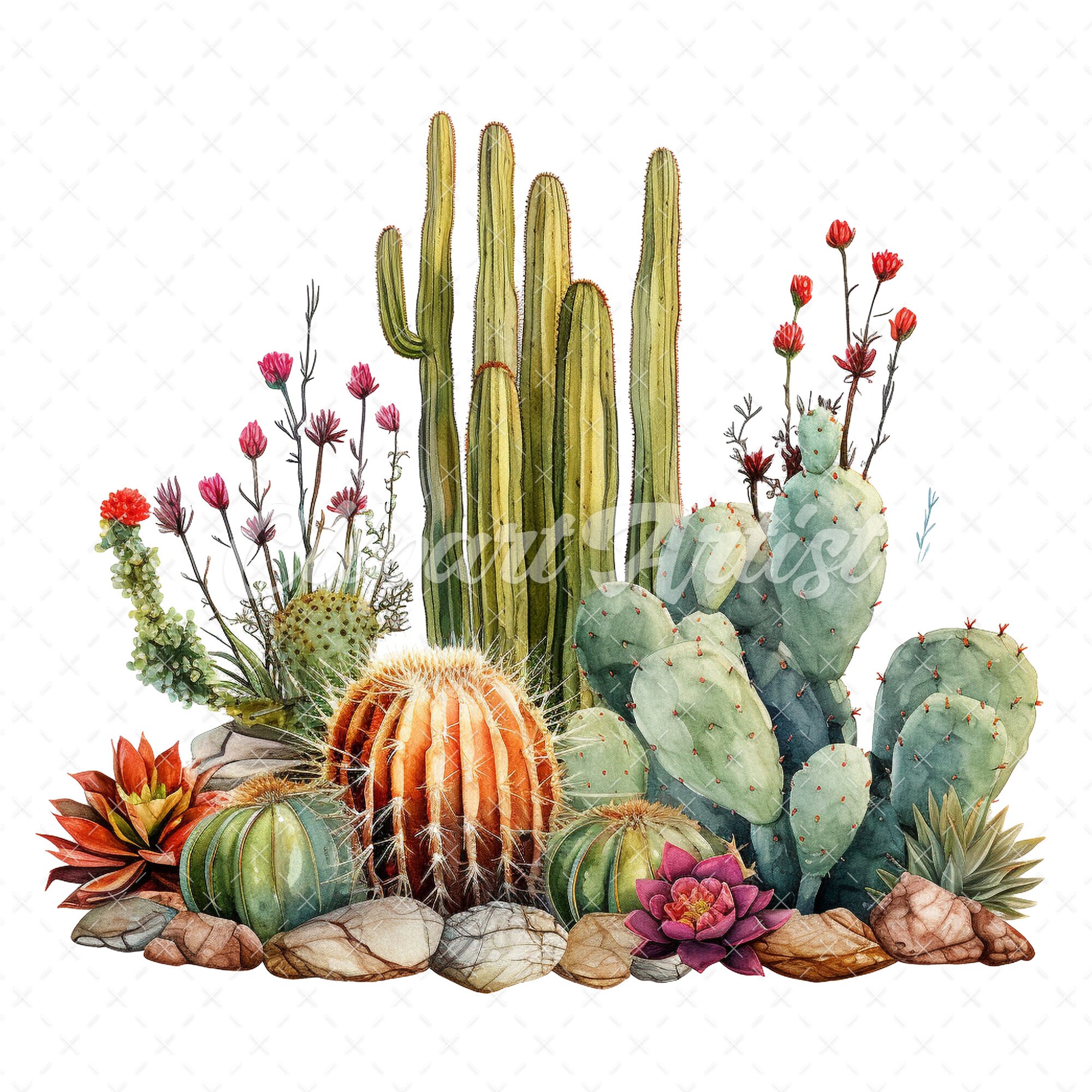 20 High-quality Desert Cacti Clipart Desert Cacti Digital - Etsy