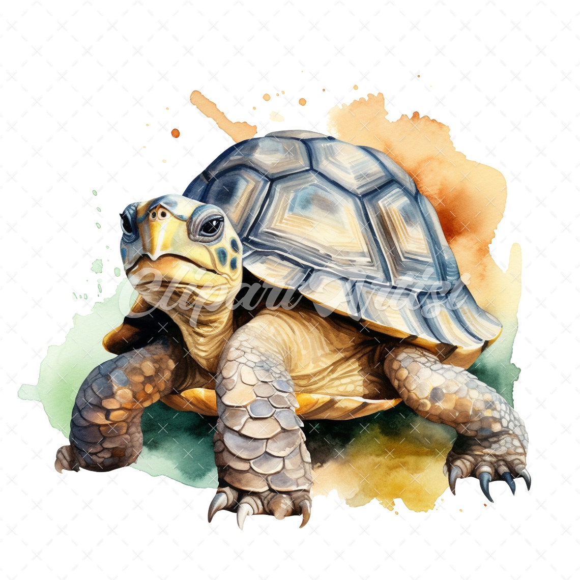 20 High-quality Cute Tortoise Clipart - Cute Tortoise Digital ...