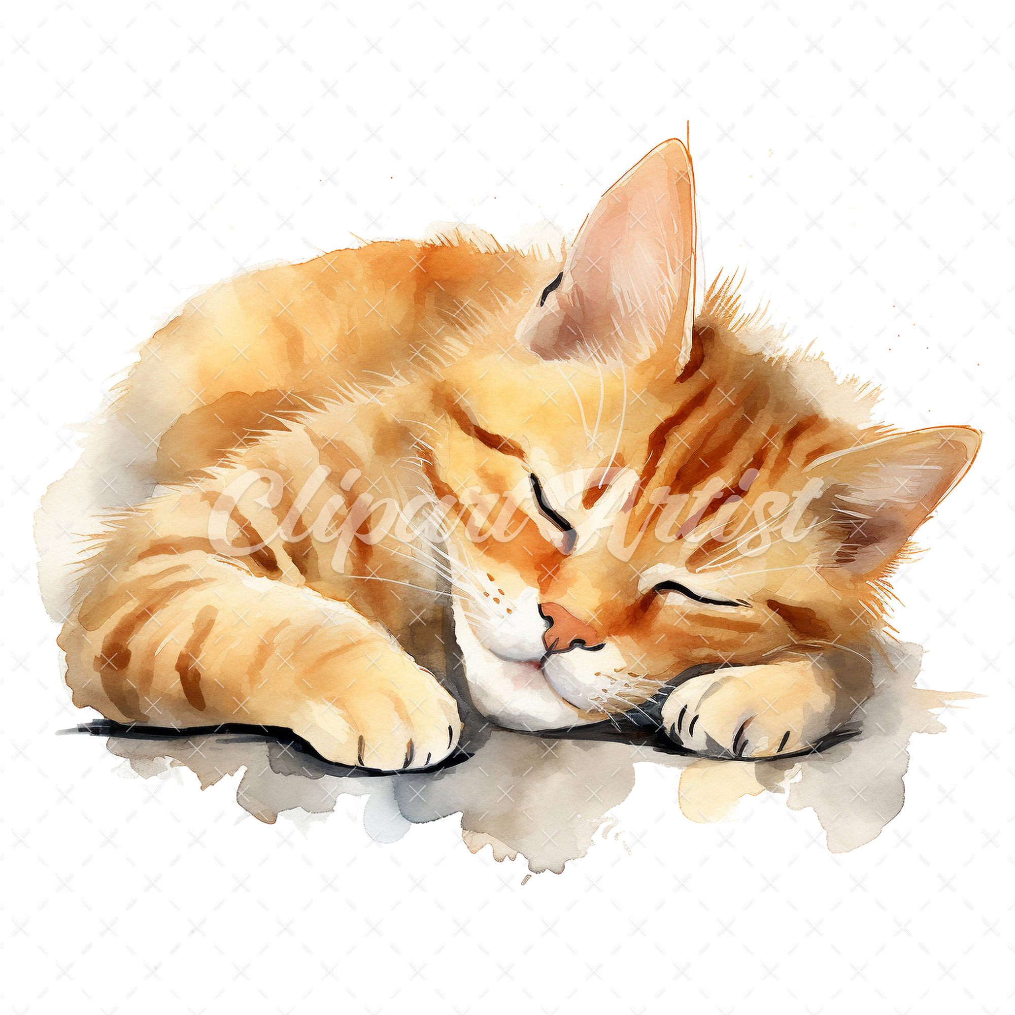 Sleeping Cat Clipart – Watercolor Kitten Art (digital Download) - Etsy