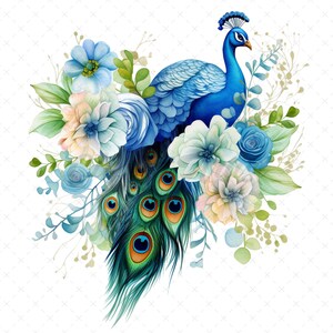 19 High-quality Peacock Bouquets Clipart - Peacock Bouquets Digital ...