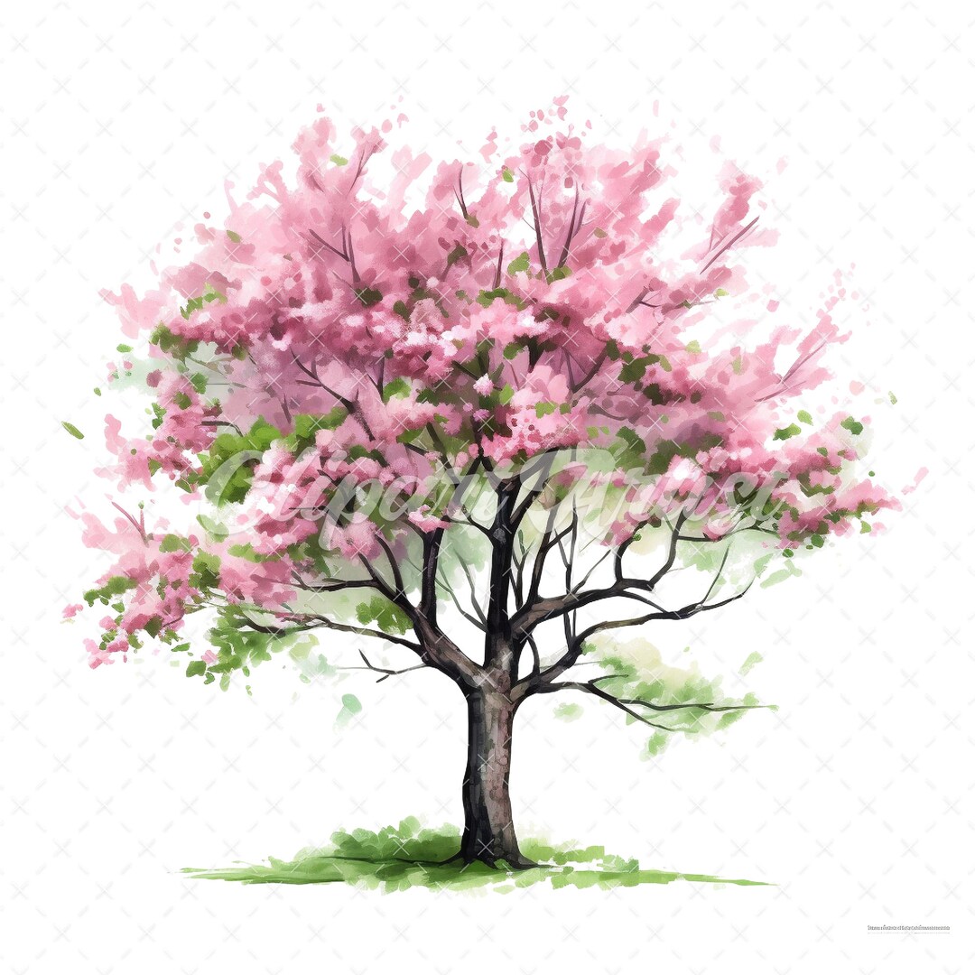 20 High-quality Spring Trees Clipart Spring Trees Digital Watercolor ...