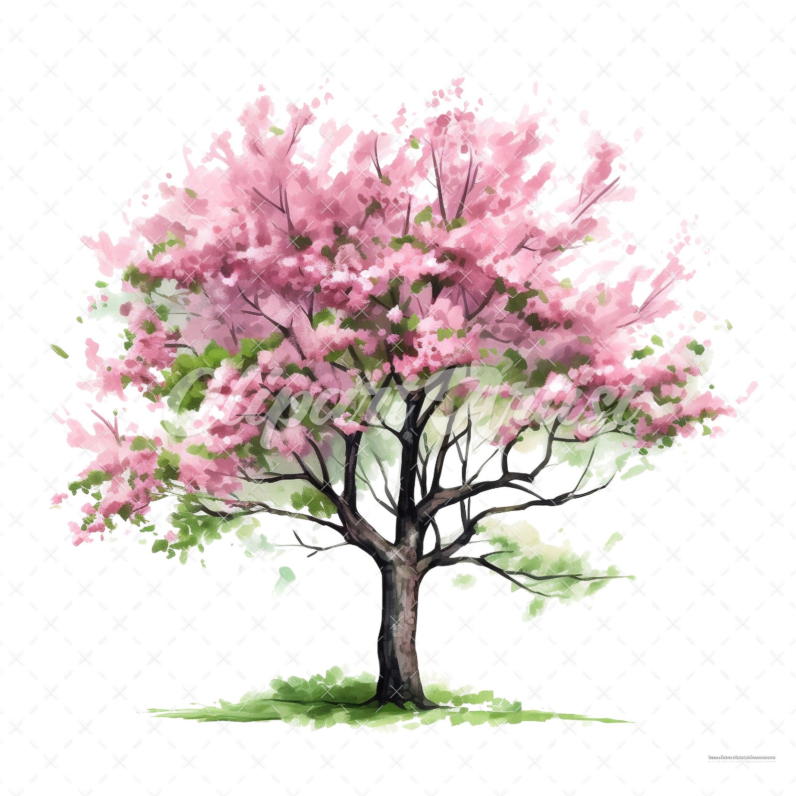 20 High-quality Spring Trees Clipart Spring Trees Digital Watercolor ...