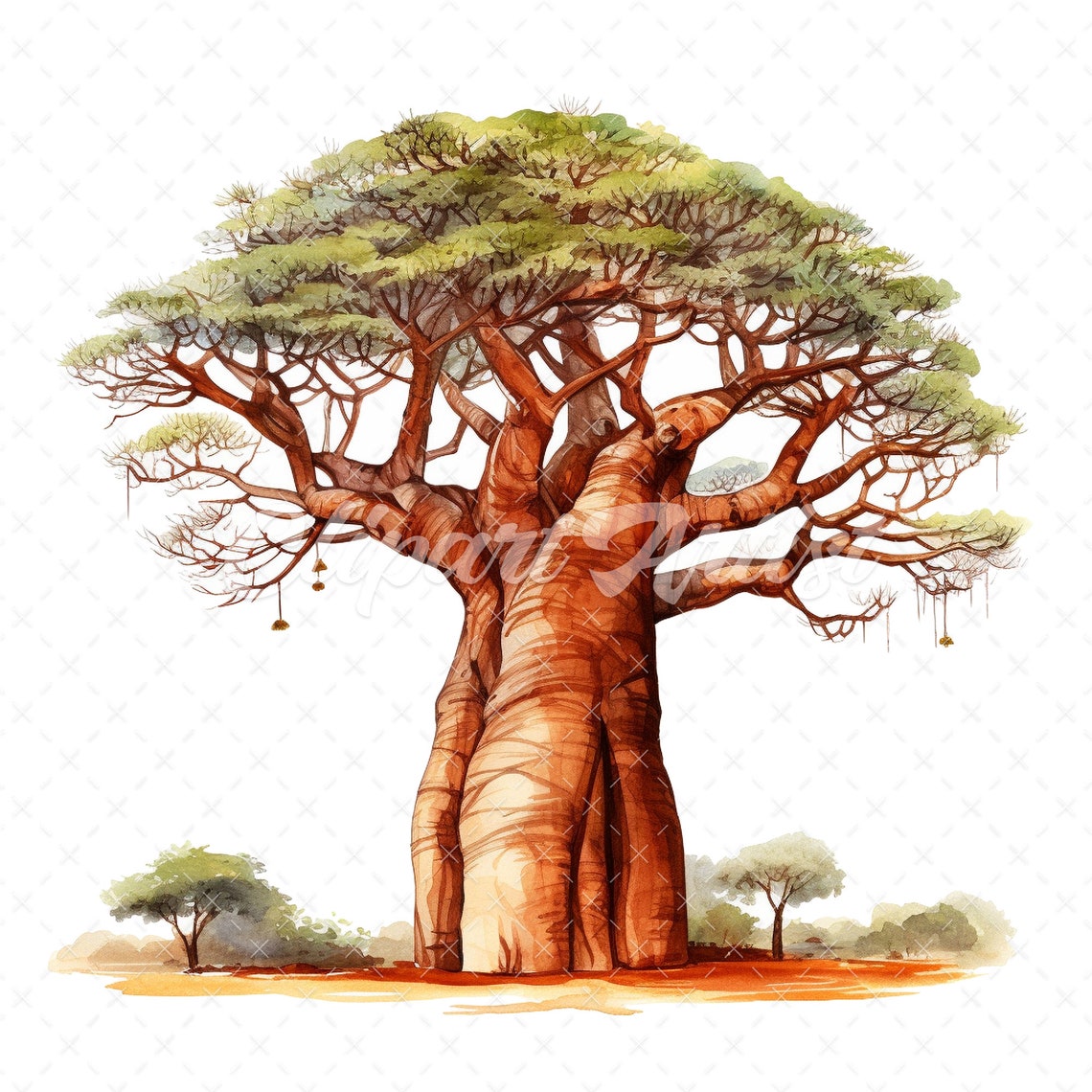 20 High-quality Baobab Tree Clipart Baobab Tree Digital - Etsy