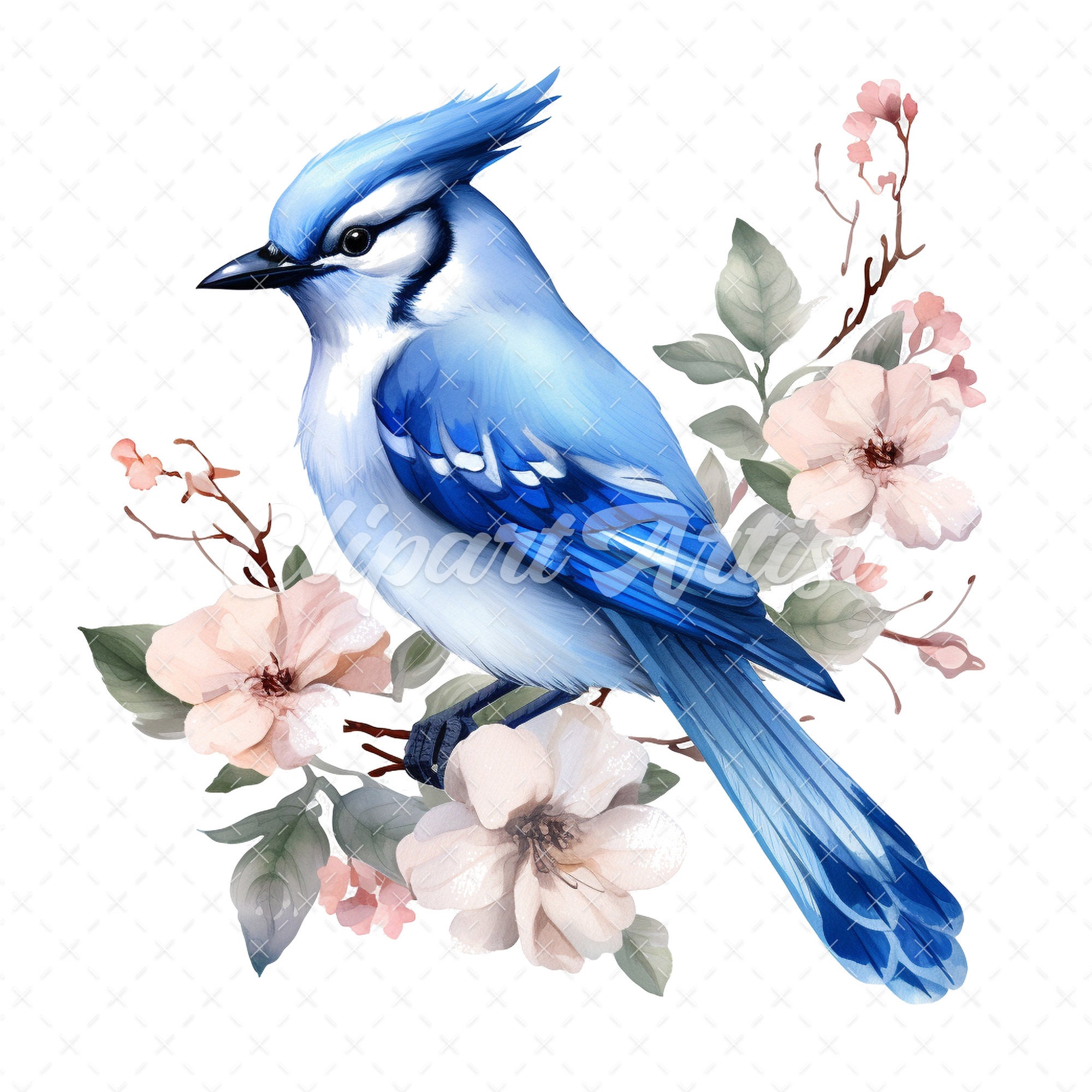 19 High-quality Floral Blue Jay Clipart - Floral Blue Jay Digital ...