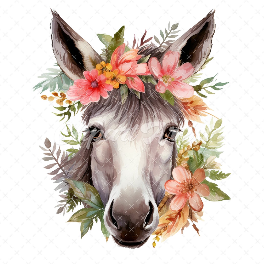 20 High-quality Floral Donkey Clipart Floral Donkey Digital - Etsy