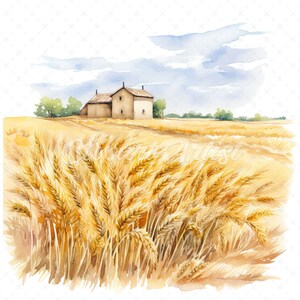 19 High-quality Wheat Farm Clipart Wheat Farm Digital Watercolor JPG ...