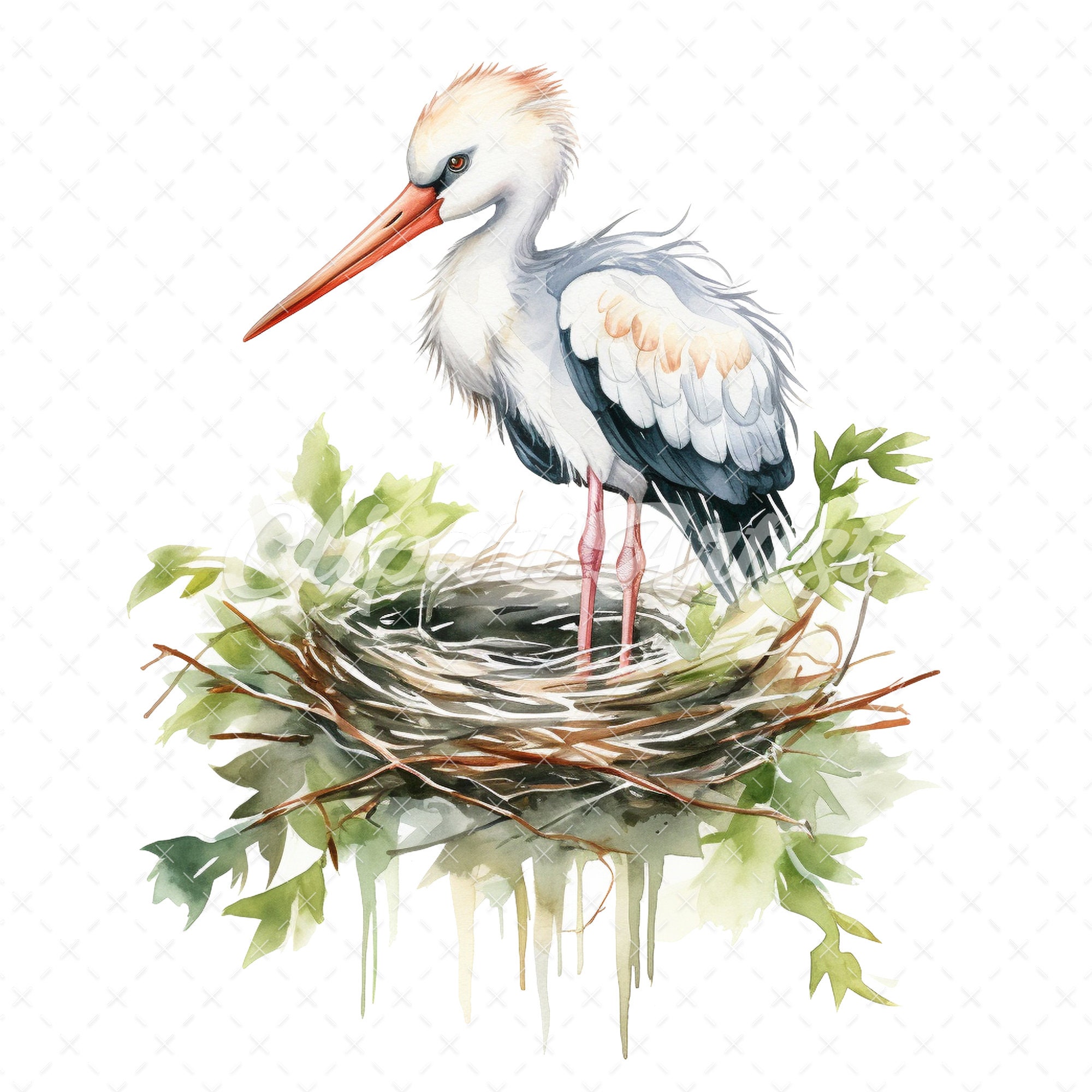 20 High-quality Stork Nest Clipart Stork Birds Digital - Etsy