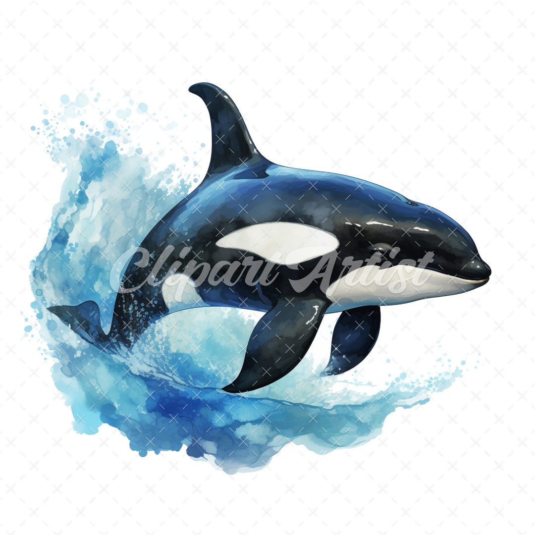 20 High-quality Orca in Water Clipart - Orca in Water Digital ...