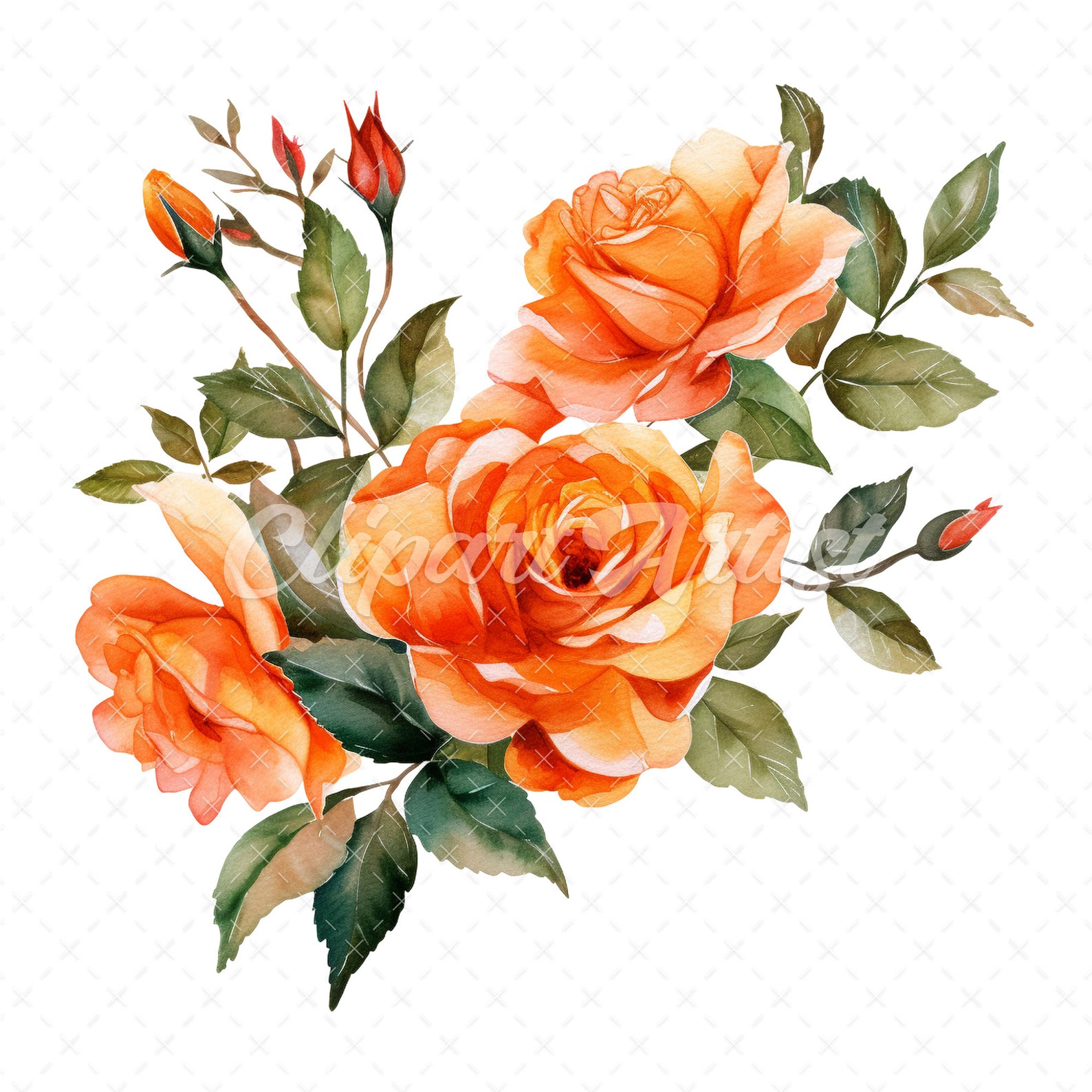 Orange Rose Watercolor Clipart – Floral Design Elements (digital ...