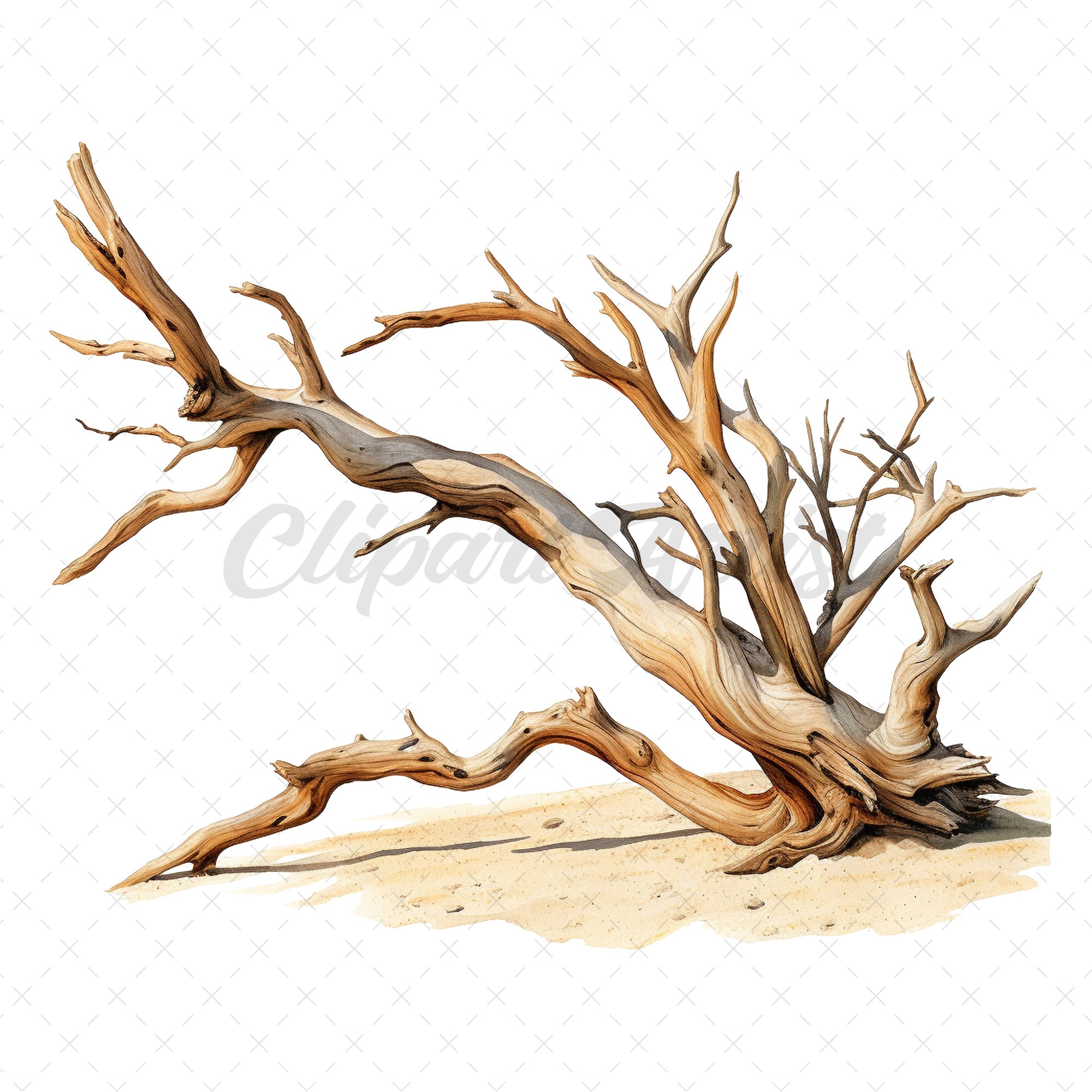 Driftwood Clipart: Watercolor Style, Commercial Use (digital Download ...