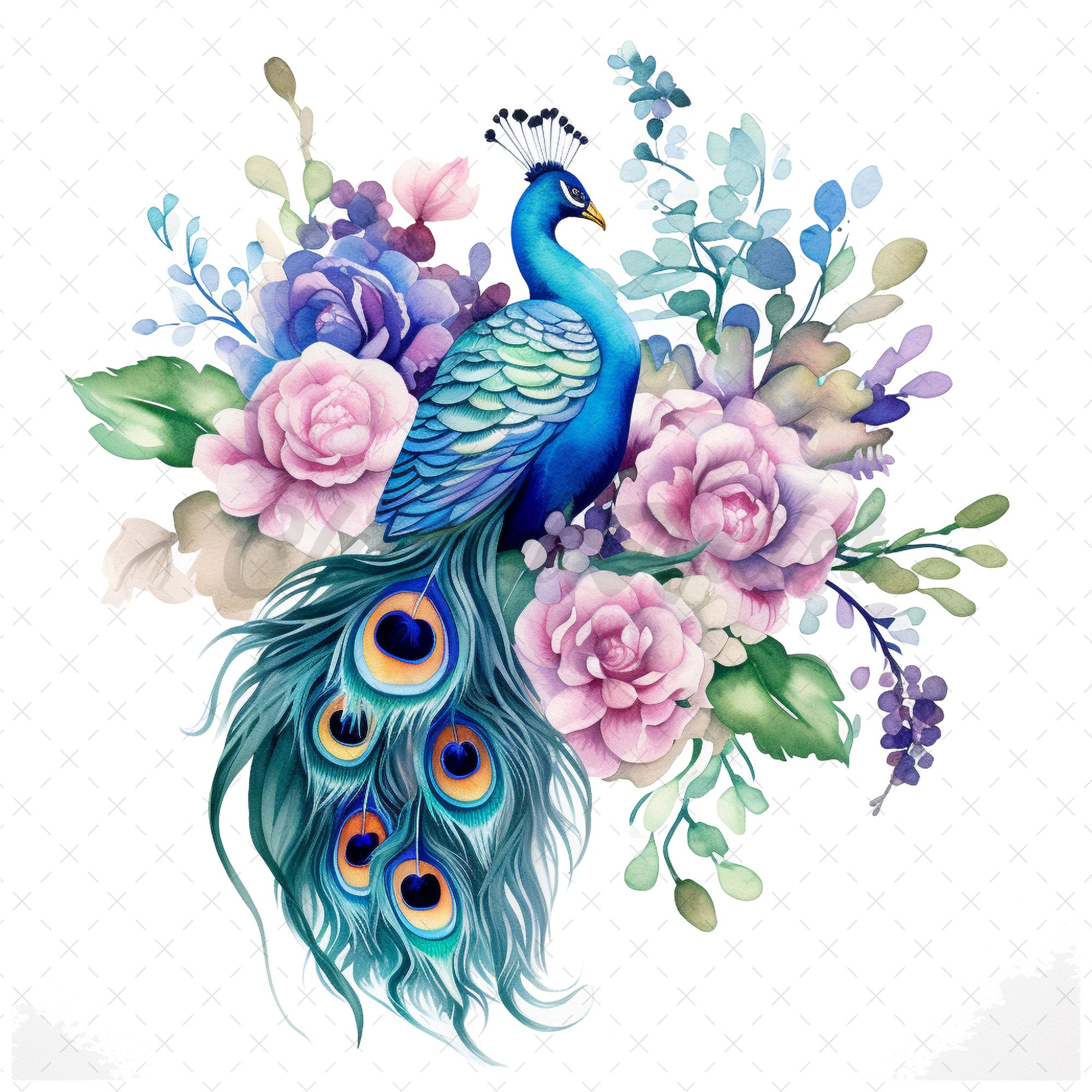19 High-quality Peacock Bouquets Clipart - Peacock Bouquets Digital ...